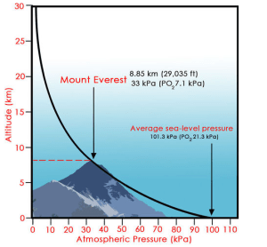 What is Boil off Gas and Estimating of BOG rate – AMARINE